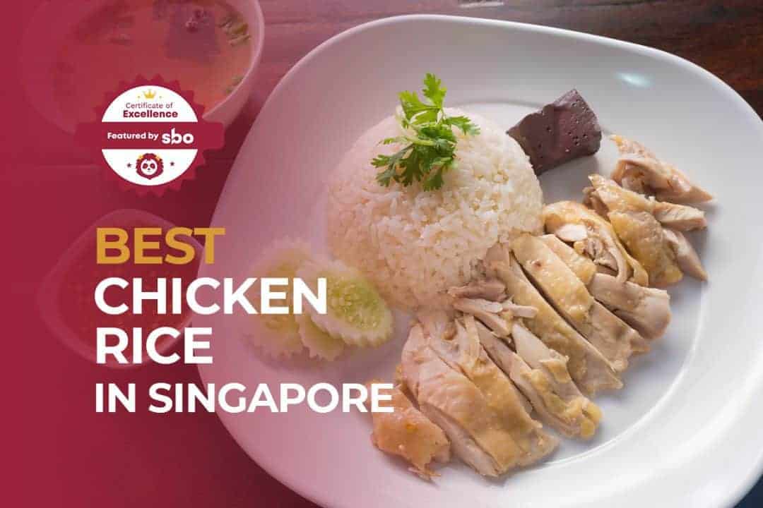 10 Best Chicken Rice in Singapore That Will Make Your Mouth Water [2025 ...